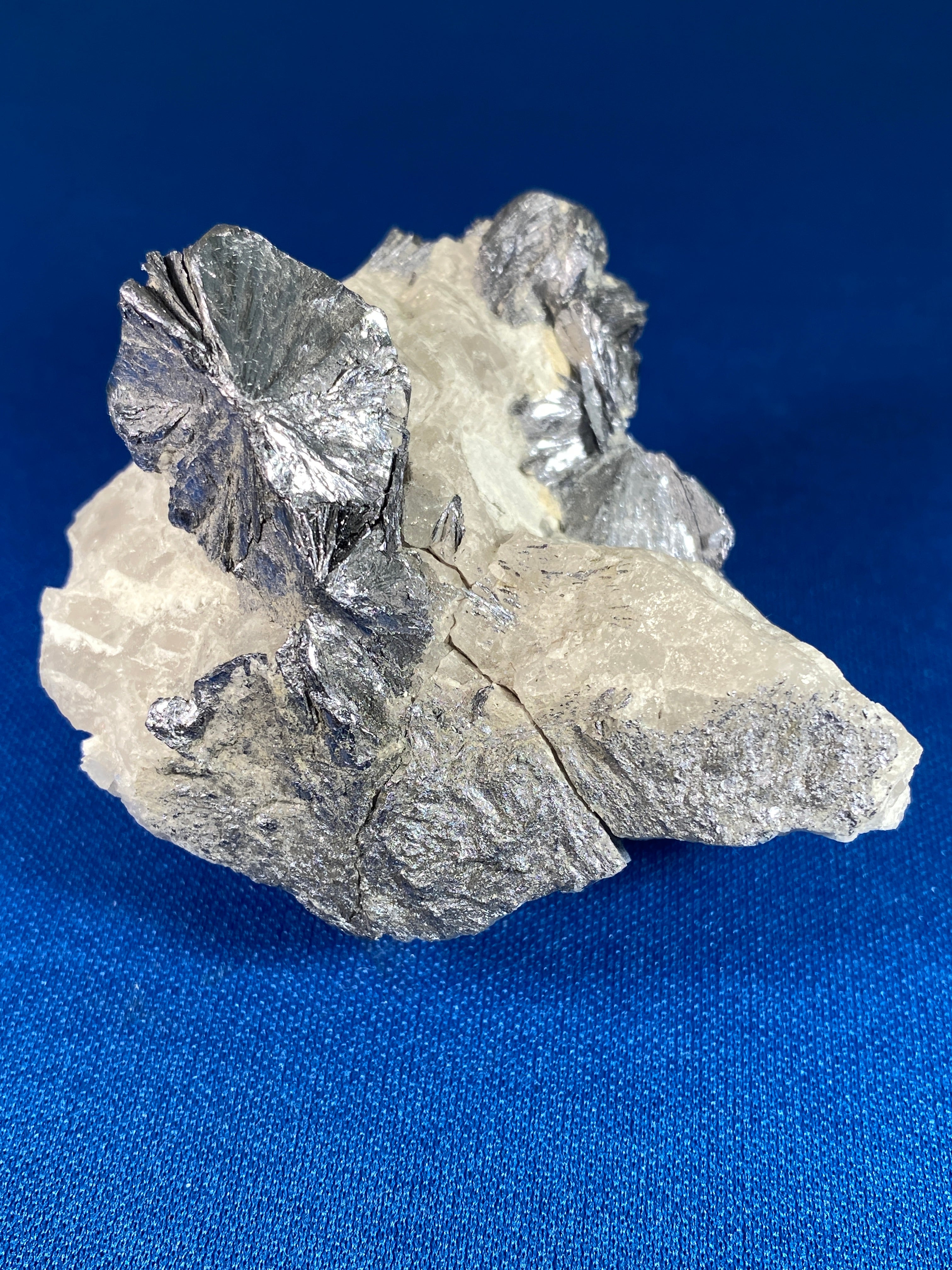 Canadian Minerals & Fossils – Rocky Mountain Minerals and Fossils